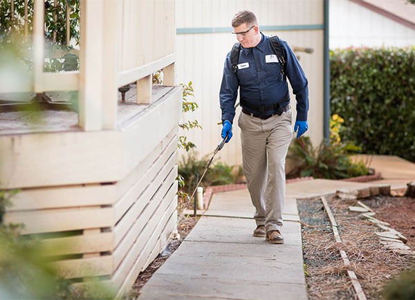 Gymnastics - Impact Pest Control